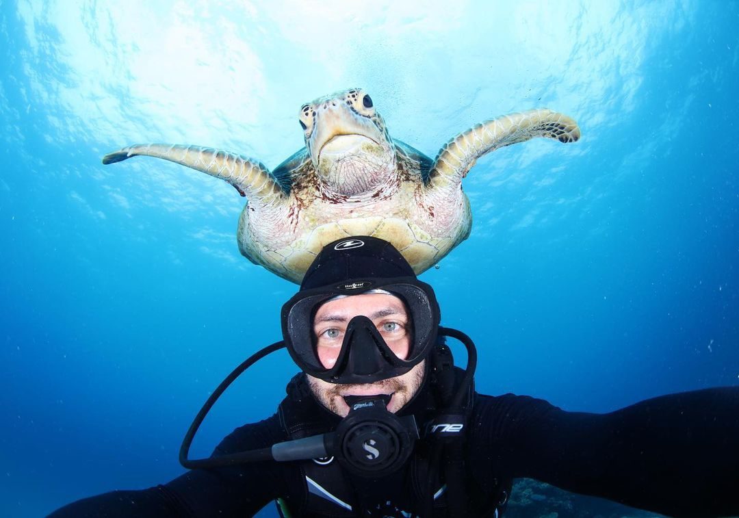 Documenting Inside The Ocean - Karmactive