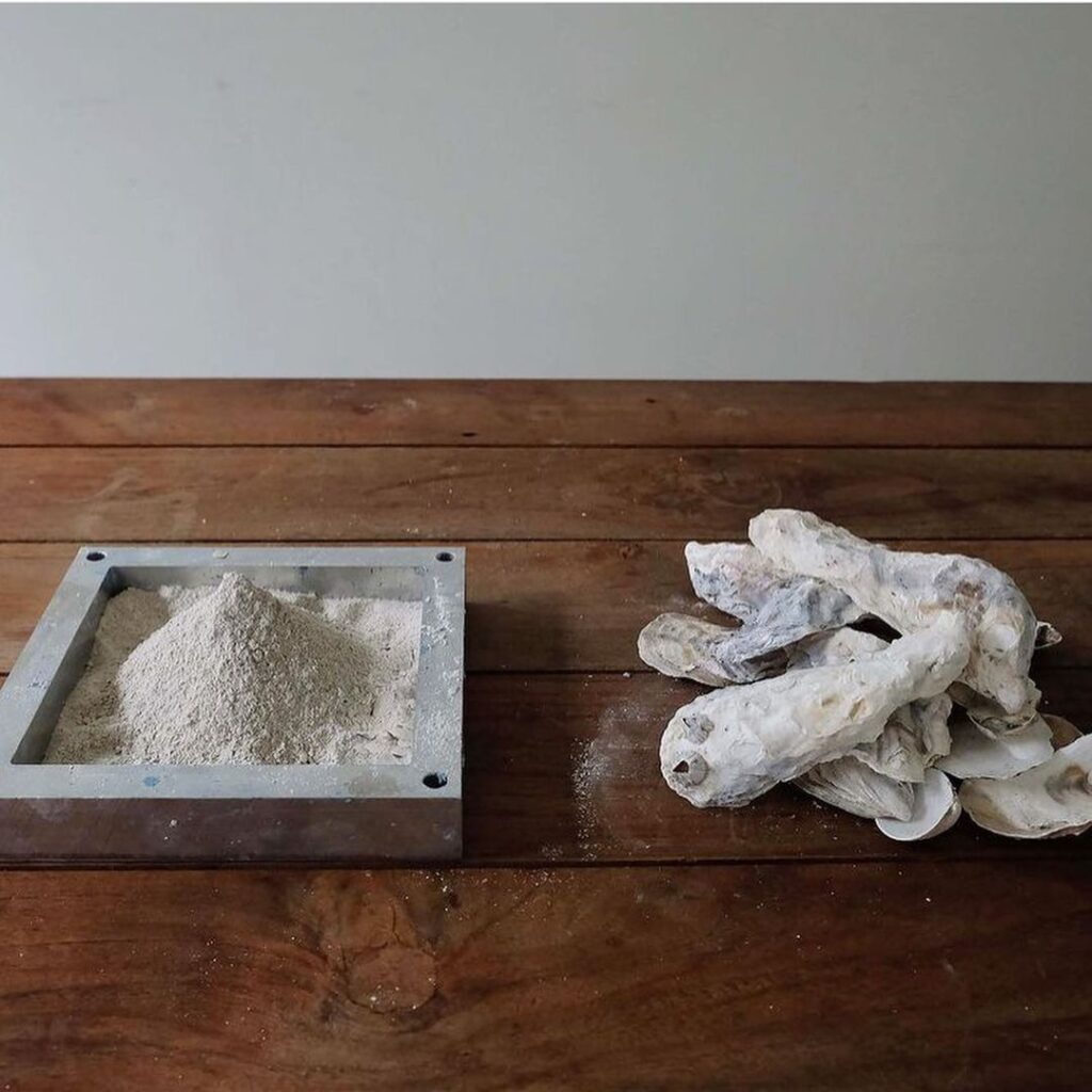 A Sustainable Material Made From Wasted Seashells - Karmactive