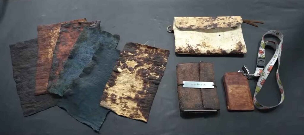 Sustainable Fashion Meets Nature: How MYCL's Mylea is Adventuring Vegan ...