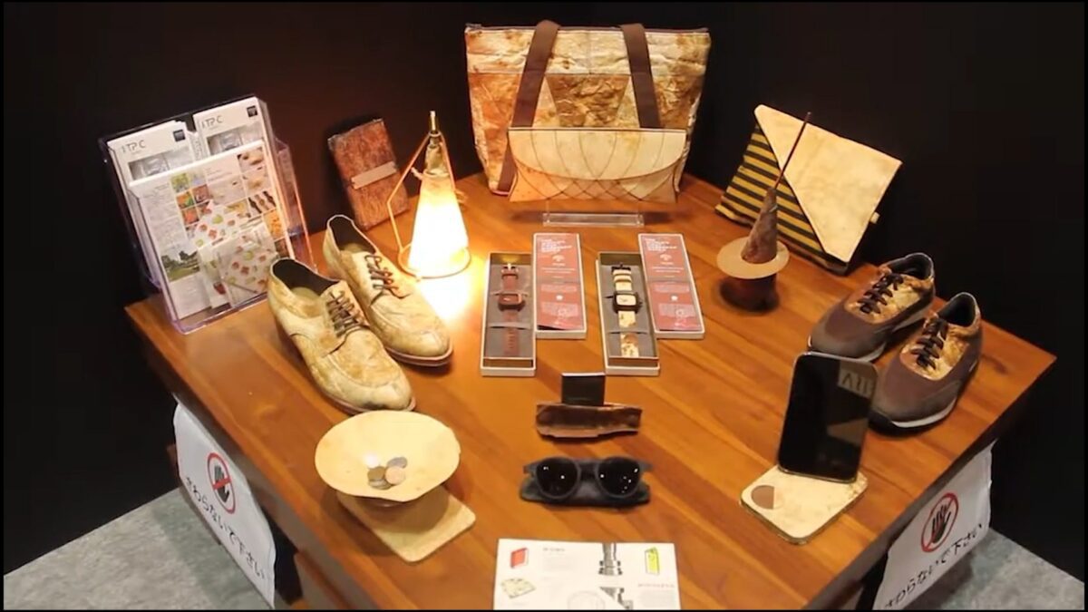 Sustainable Fashion Meets Nature: How MYCL's Mylea is Adventuring Vegan ...