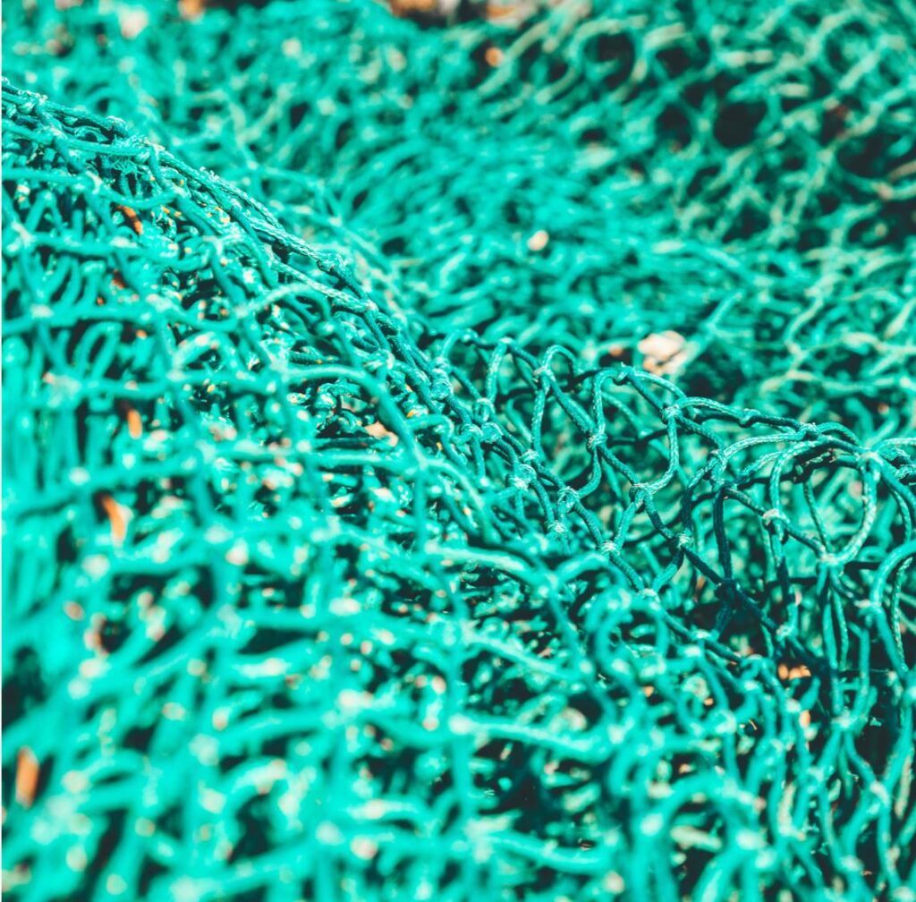 All Size Swimwear Made From Recycled Plastic -Deakin And Blue