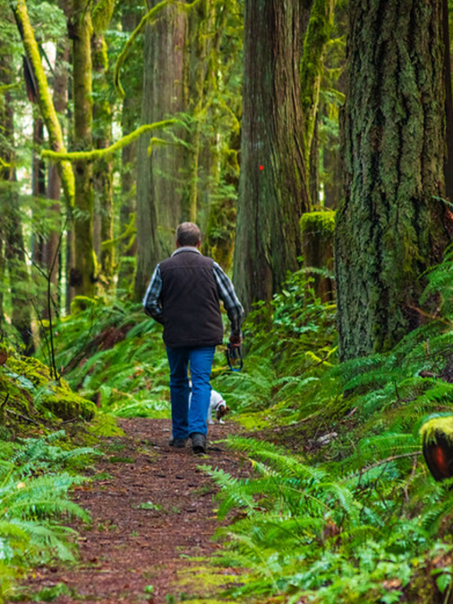 Doctors Can Prescribe Free Visits To National Parks - Karmactive Doctors Can Prescribe Free Visits To National Parks - Karmactive