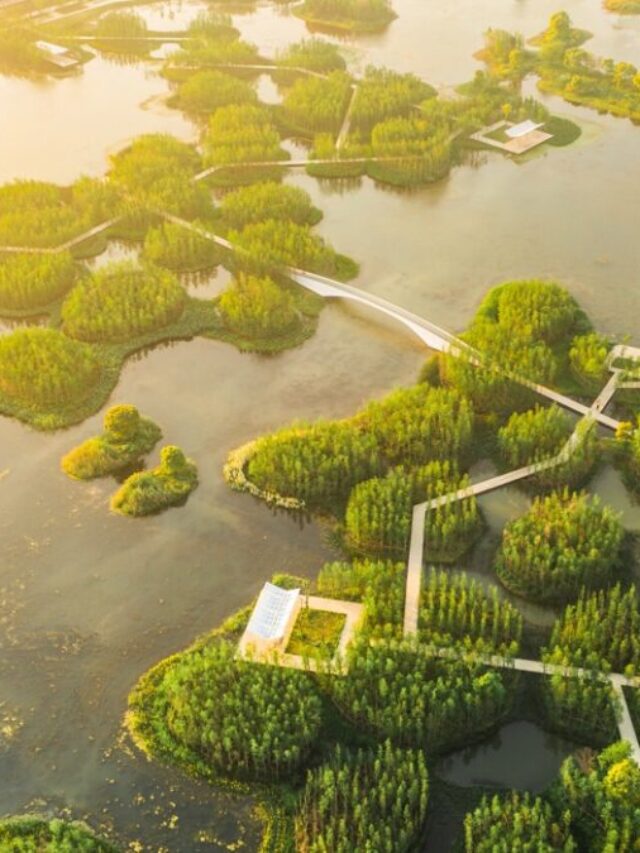 Nature and the City: How Fish Tail Park Balances Human and ...