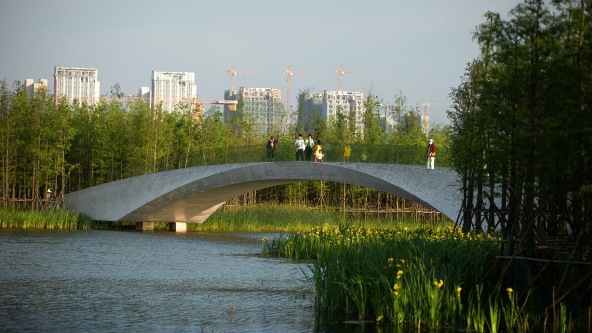 Nature and the City: How Fish Tail Park Balances Human and ...