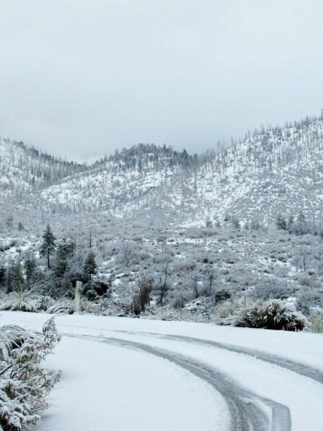 California records biggest snow accumulation this century - Karmactive