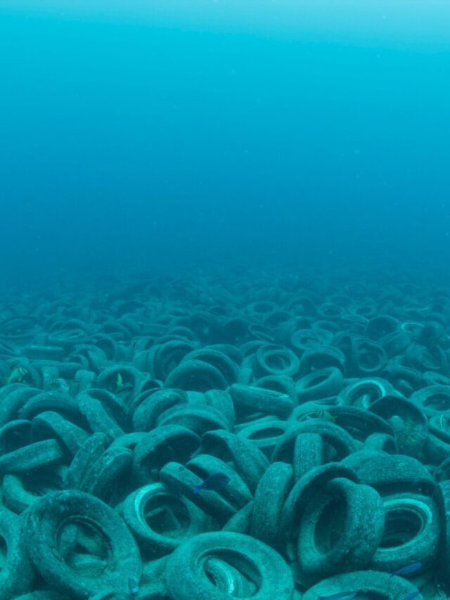 The Osborne Reef: A Graveyard of Two Million Tires Plaguing America's ...