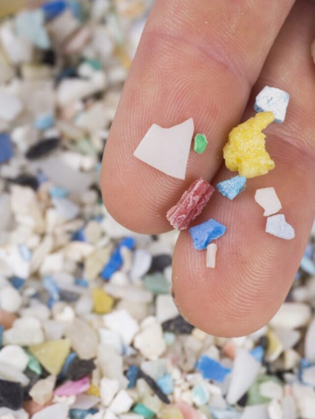 Hidden Hazards of Recycling: Microplastic Threats from Cutting-Edge UK ...