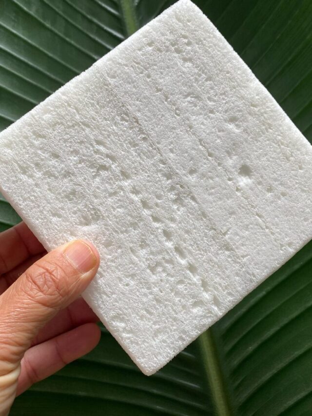 Cruz Foam is Reshaping the Packaging Industry with Sustainable ...