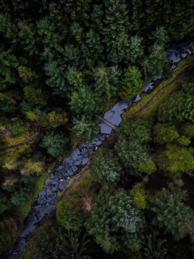 Protecting 79% of the Earth’s Remaining Natural Vegetation Natura ...