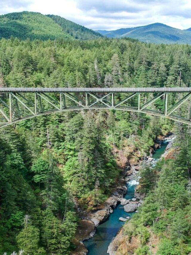 Elevated Wonders: Exploring the Iconic Tallest Bridges in the USA ...