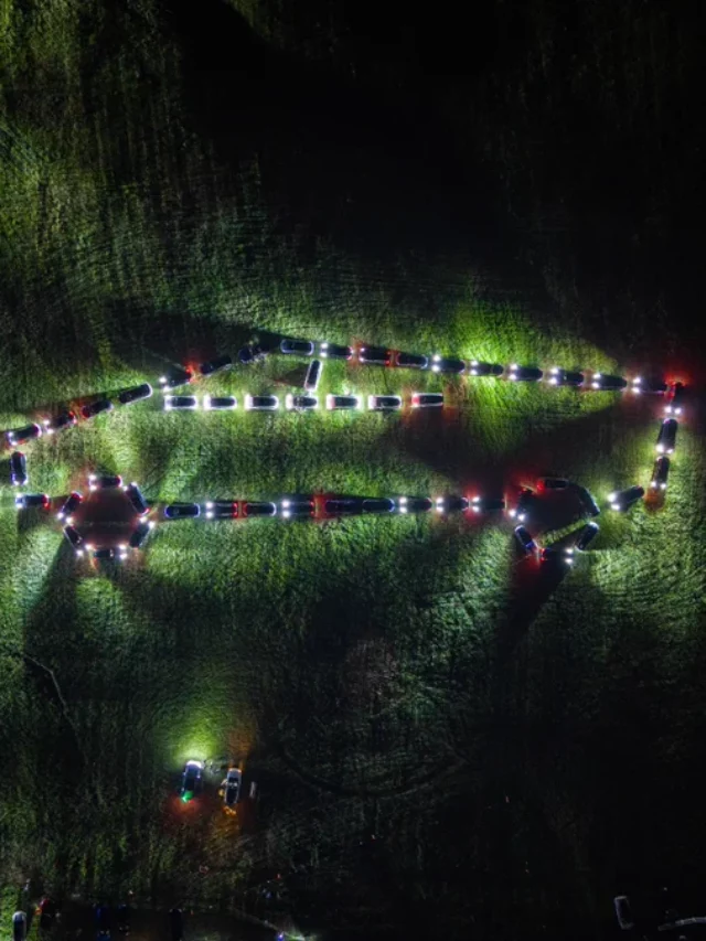Glowing Tribute to Innovation: Tesla's Record-Breaking Light Show ...