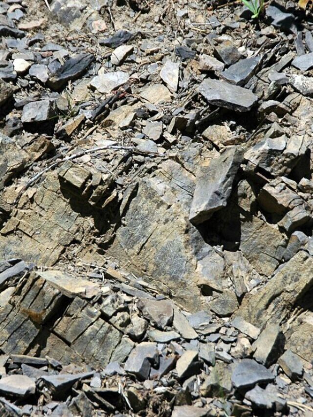 Norway Unearths the Mother Lode: World's Largest High-Grade Phosphate ...