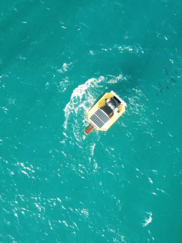 Oneka Technologies: Wave-Powered Desalination Innovation for Coastal ...