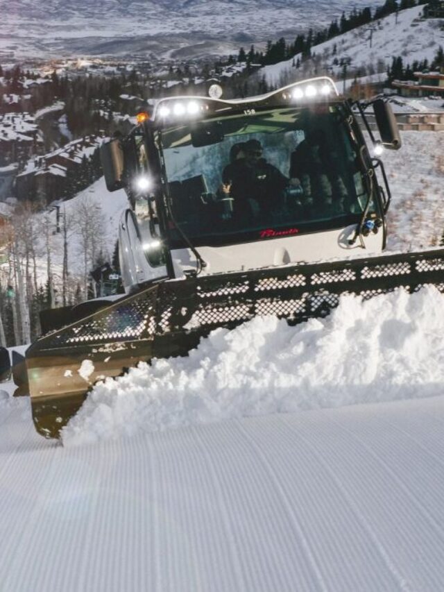 Eco-Thrills: How New Zealand's Pedal Powered Shweeb Racer is Redefining ...