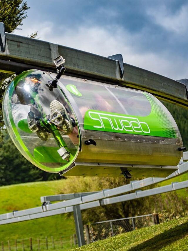 Eco-Thrills: How New Zealand's Pedal Powered Shweeb Racer is Redefining ...