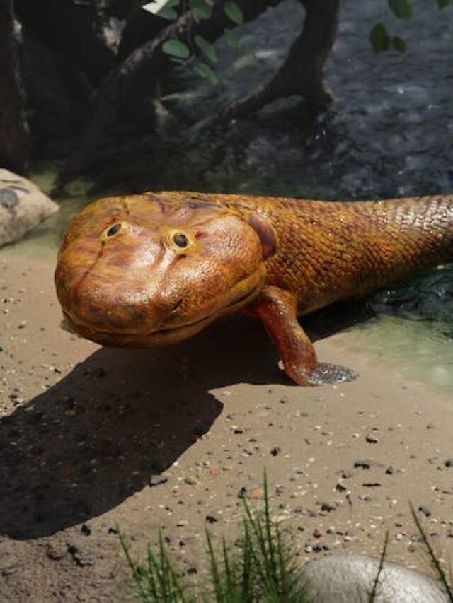 Decoding Tiktaalik: A Glimpse into Life 375 Million Years Past ... Decoding Tiktaalik: A Glimpse into Life 375 Million Years Past ...