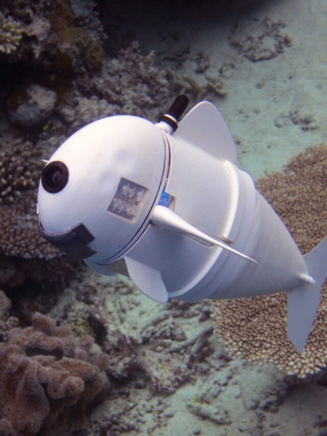 MIT's SoFi: More Than a Robotic Fish, It's a Marine Research Wonder ...