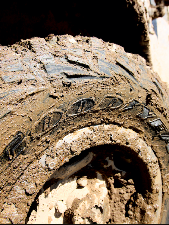 Goodyear and Visolis Set to Transform Isoprene Production with ...