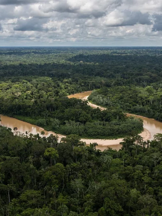 Amazon vs. Nile: Unveiling Riverine Mysteries with a Riveting 7,000 ...