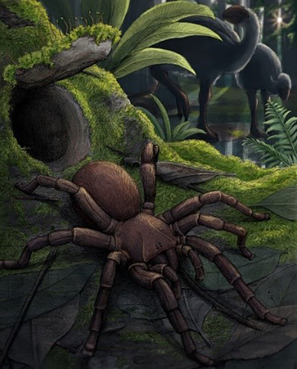 Australia's Oldest Spider Unearthed: A 110 Million-Year-Old Amber ...