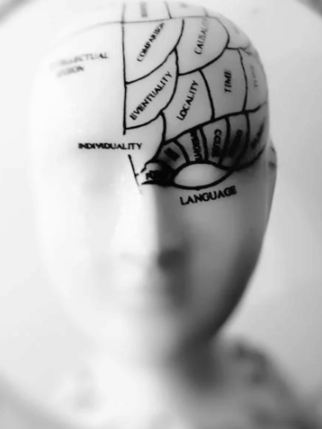 AI Mirrors Human Brain: Cambridge Study Breaks New Ground in Cognitive ... AI Mirrors Human Brain: Cambridge Study Breaks New Ground in Cognitive ...