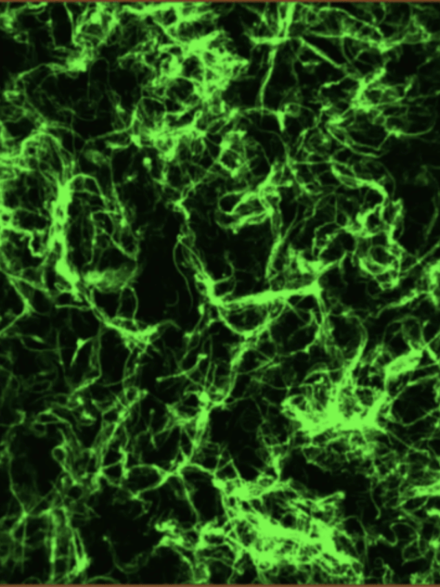 World's First Electromagnetic Power Generator AISEG Launched at COP28 ...