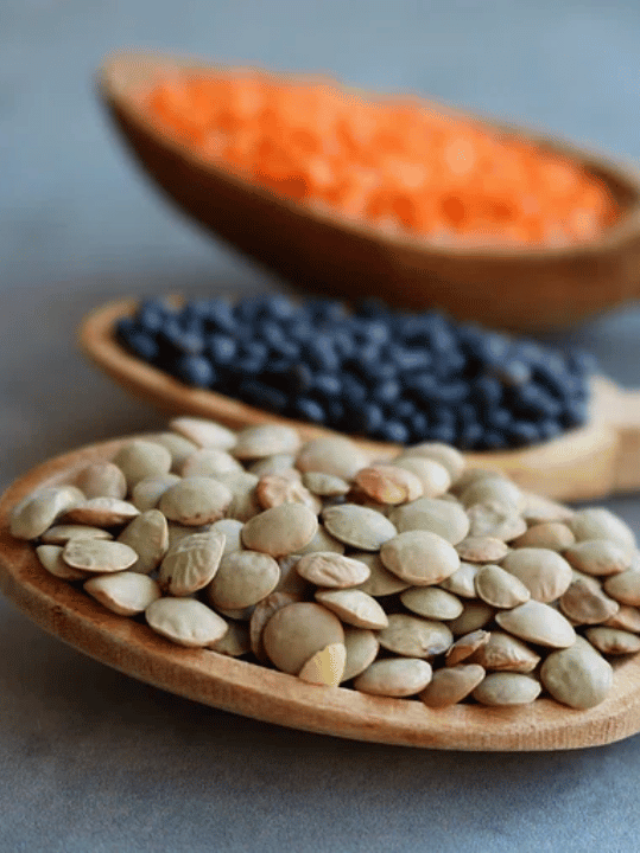 India Eyes Record Harvest: Projected 1.6M Tonnes Set to Surpass Global ...