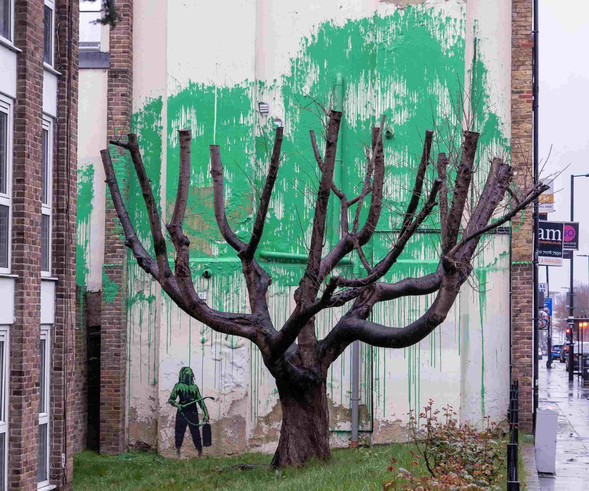 Banksy's Latest Single Pruned Cherry Tree Art on Hornsey Road Reflects ...