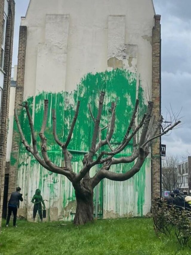 Banksy’s Latest Single Pruned Cherry Tree Art on Hornsey Road Reflects ...