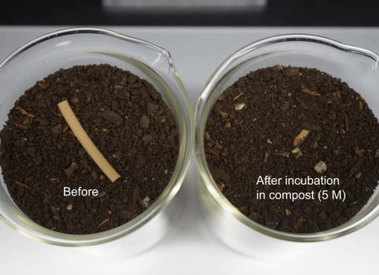 Scientists Embed Bacteria in Plastic to Accelerate Biodegradation ...