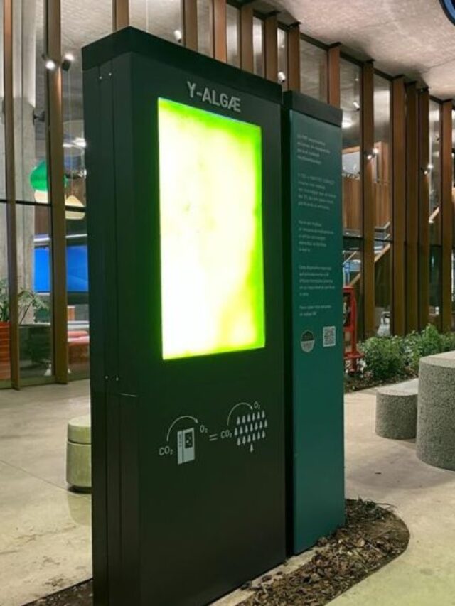 Argentina’s Breakthrough with 'Liquid Trees': Can Y-ALGAE Clean Urban ...