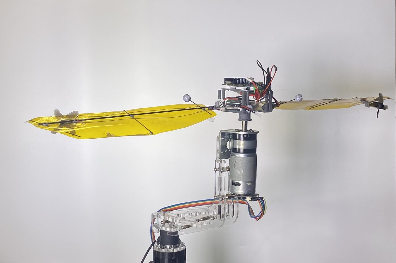 Flying Robots Inspired by Nature: Finnish and U.S. Researchers Pioneer ...