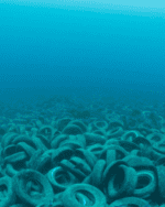 The Osborne Reef: A Graveyard of Two Million Tires Plaguing America's ...