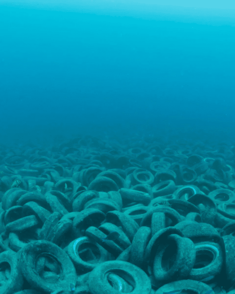 The Osborne Reef: A Graveyard of Two Million Tires Plaguing America's ...