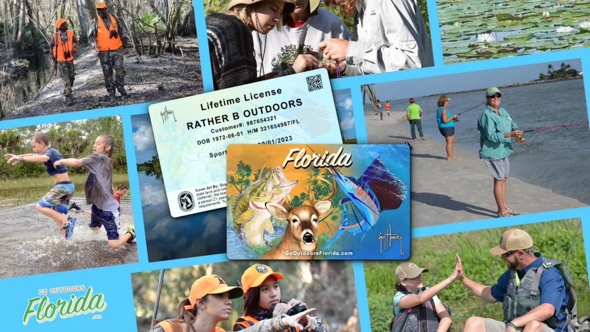 Florida’s Call to the Wild: Snag 50% Off on State Parks Passes and FWC ...