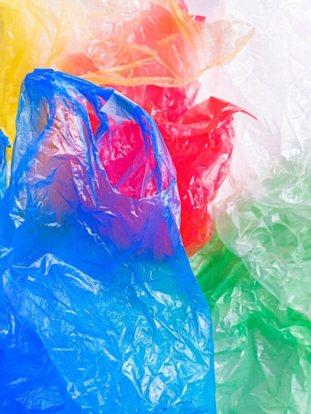 California's Plastic Bag Ban Under SB 1053 Faces 2026 Rollout Amid ...