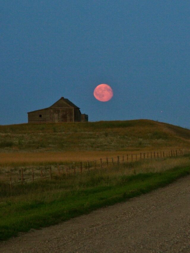 Harvest Supermoon and Rare Lunar Eclipse Set to Light Up the Skies—Find ...