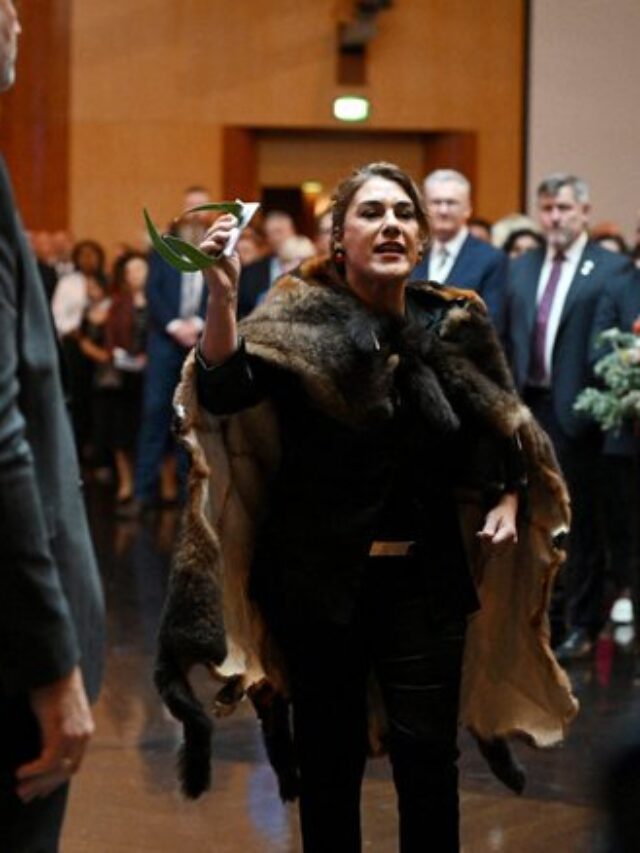 “You Are Not My King”: Indigenous Senator Lidia Thorpe Heckles King ...