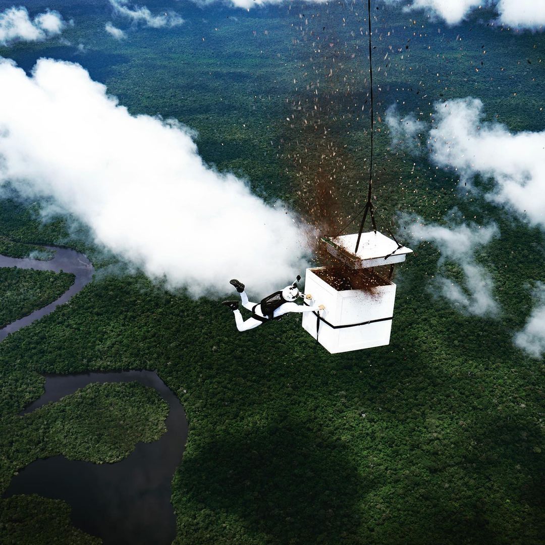 Amazon Gets 100 Million New Trees: Luigi Cani’s Skydiving Feat Combines ...