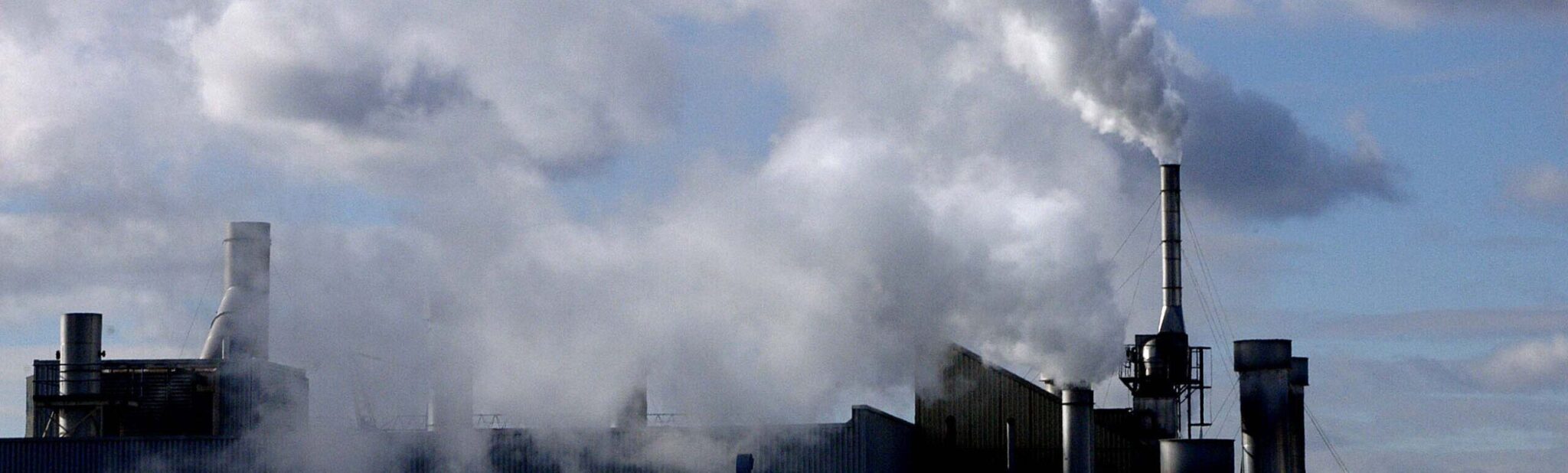 Air Pollution Linked to Autism Risk: Study Reveals Fine Particulate ...