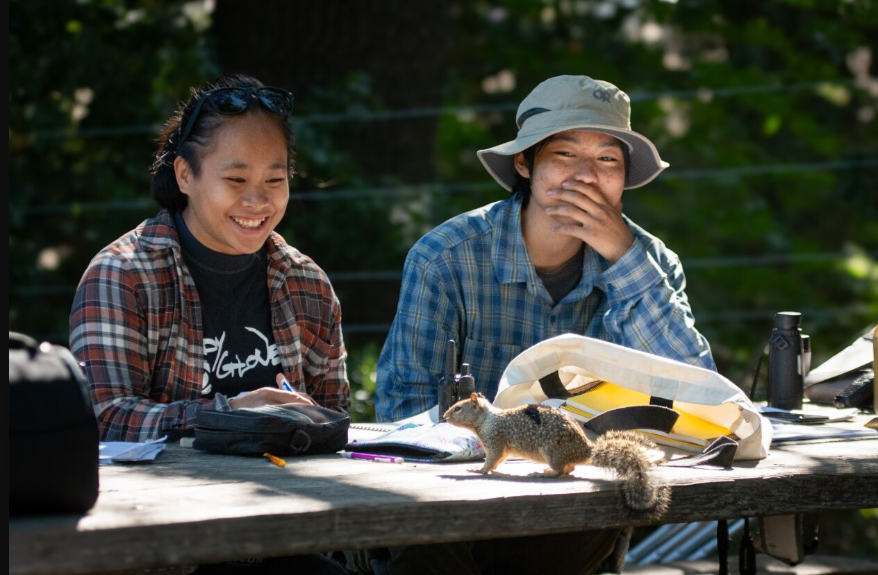 California Ground Squirrels Hunt Voles: 42% of Interactions Show ...