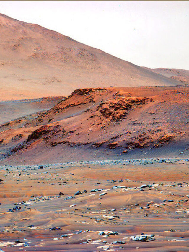 CIA's 1984 Mars Exploration: Claims of Ancient Life - Karmactive