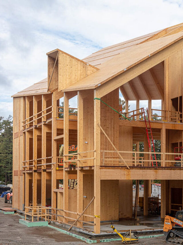 Apple's Miami Store: Sustainable Mass Timber Design - Karmactive