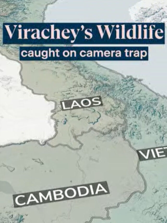 Cambodia's Virachey Park Records 89 Species, 9 Seen for the First Time ...