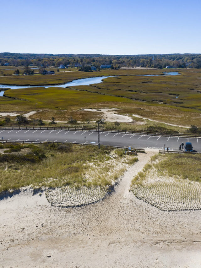 US Allocates $25.7M to Protect 10,000 Acres of Coastal Wetlands ...