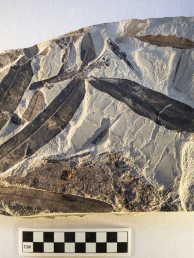 Massive Structures Found Deep Under Giza Pyramids - Karmactive