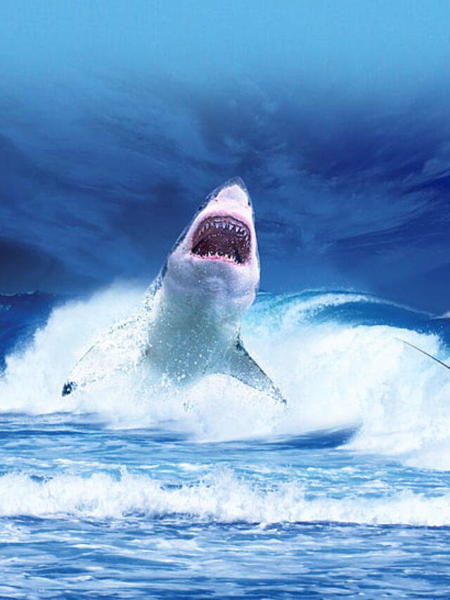 Nearly One in Four Freshwater Species Threatened Worldwide - Karmactive