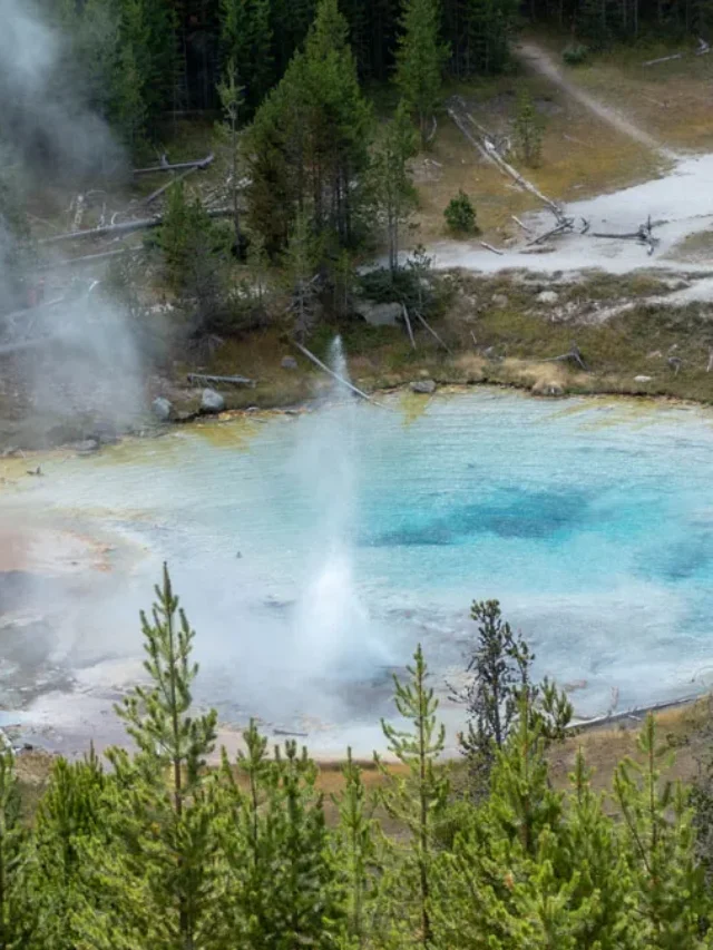 Yellowstone Springs Reveal 10 Microbes Key to Earth's Oxygen Shift ...