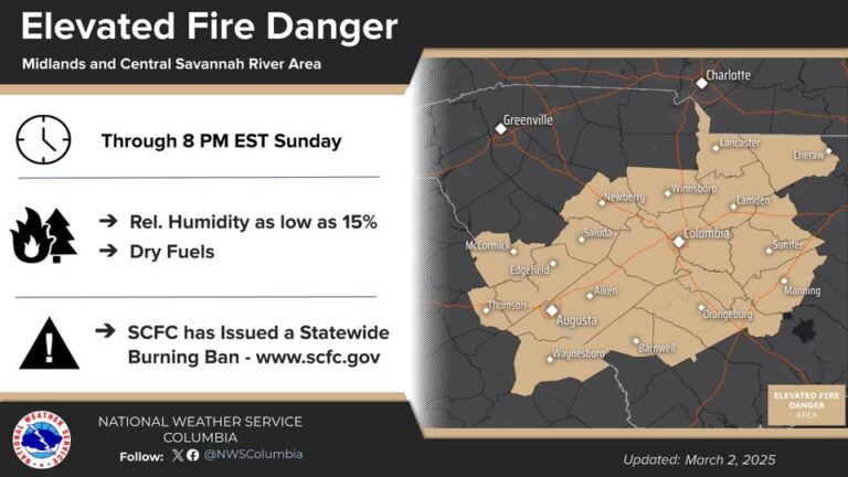 400-Acre Carolina Wildfire Forces Evacuations as Statewide Burn Ban Takes Effect - Karmactive