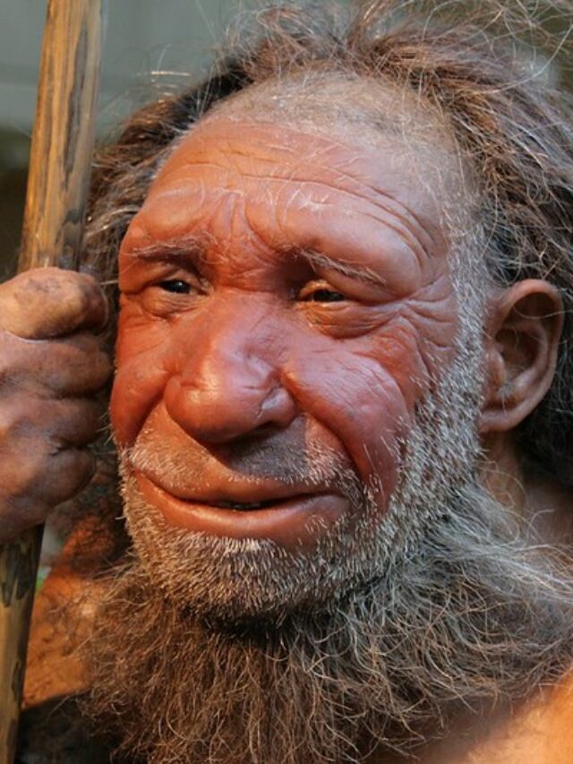 Neanderthal Genetic Diversity Plummeted 110,000 Years Ago - Karmactive